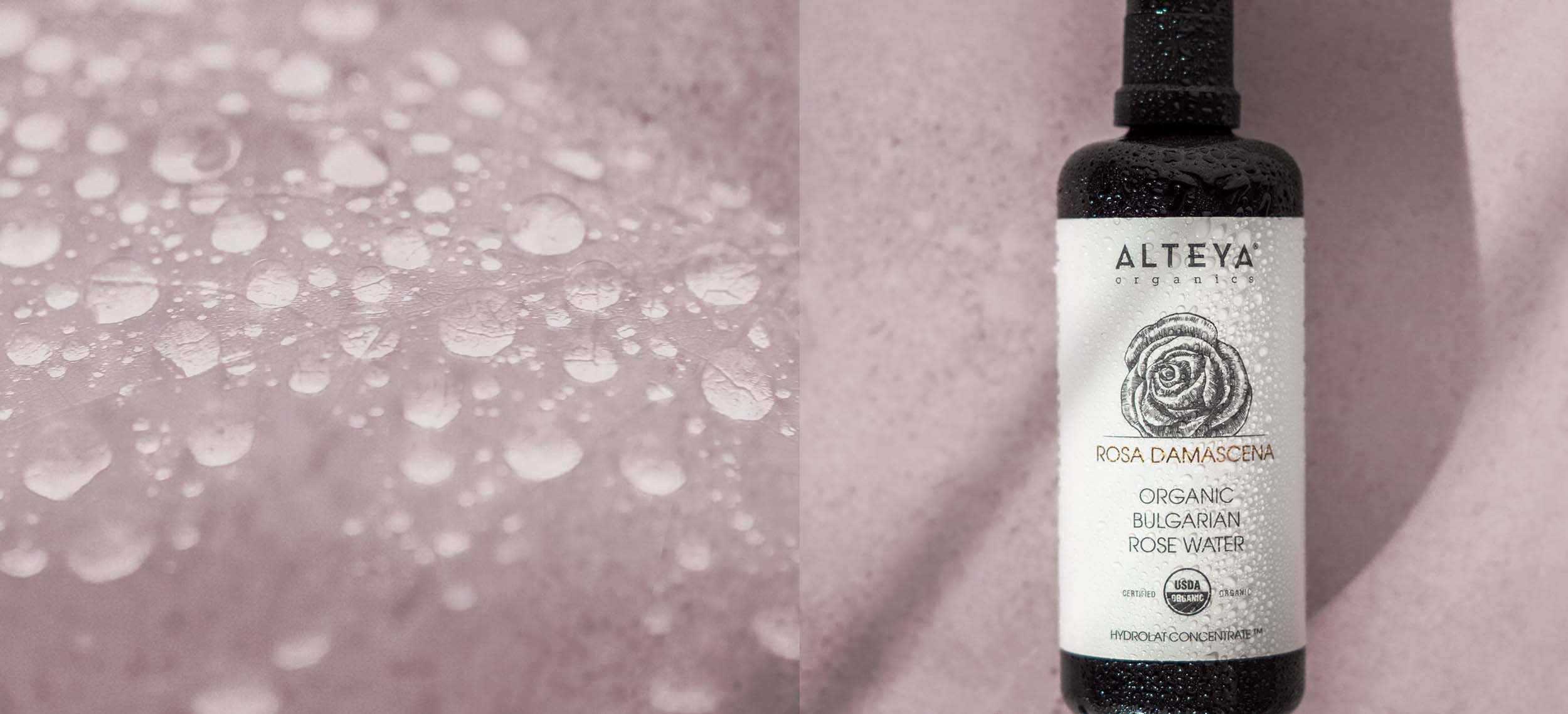 Award-Winning Organic Rose Otto Skincare by Alteya Organics